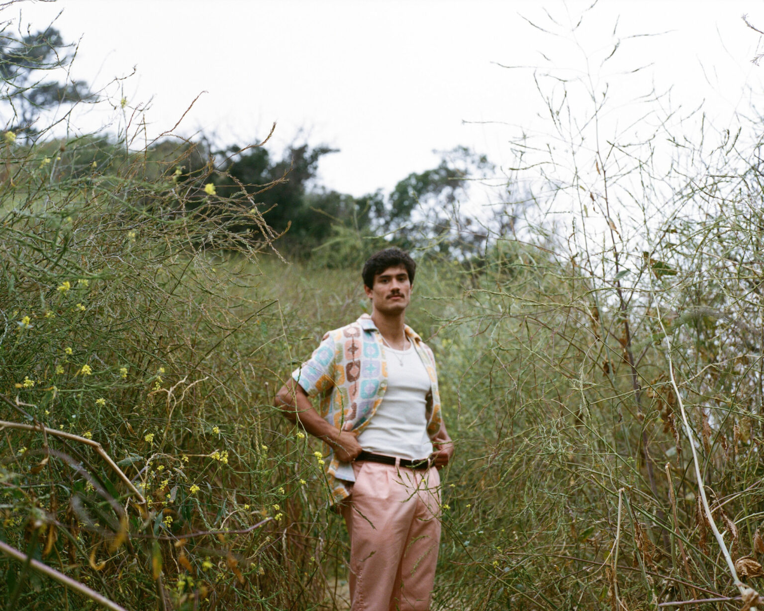 The Dirt Man, Carter Vail Comes Clean - Groovevolt